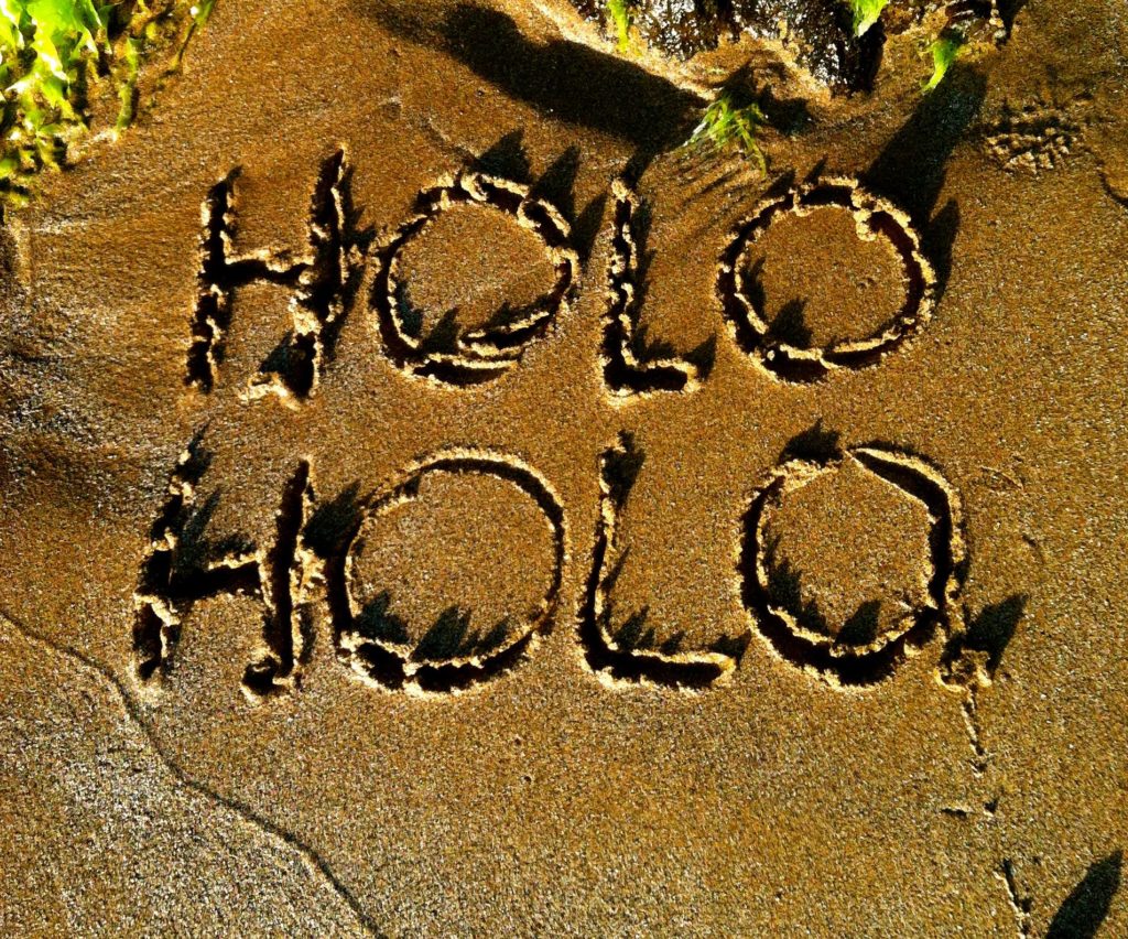 Aloha! Learn More About Us | Holo Holo Maui Tours